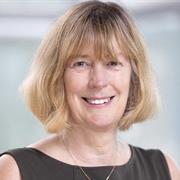 Claire Shovlin | About | Imperial College London