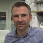 Mike Emerson | About | Imperial College London