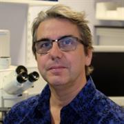 Stephen Brickley | About | Imperial College London